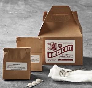 DIY Cheese Kit