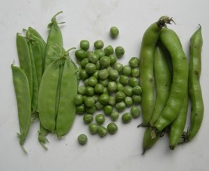 Peas and Beans